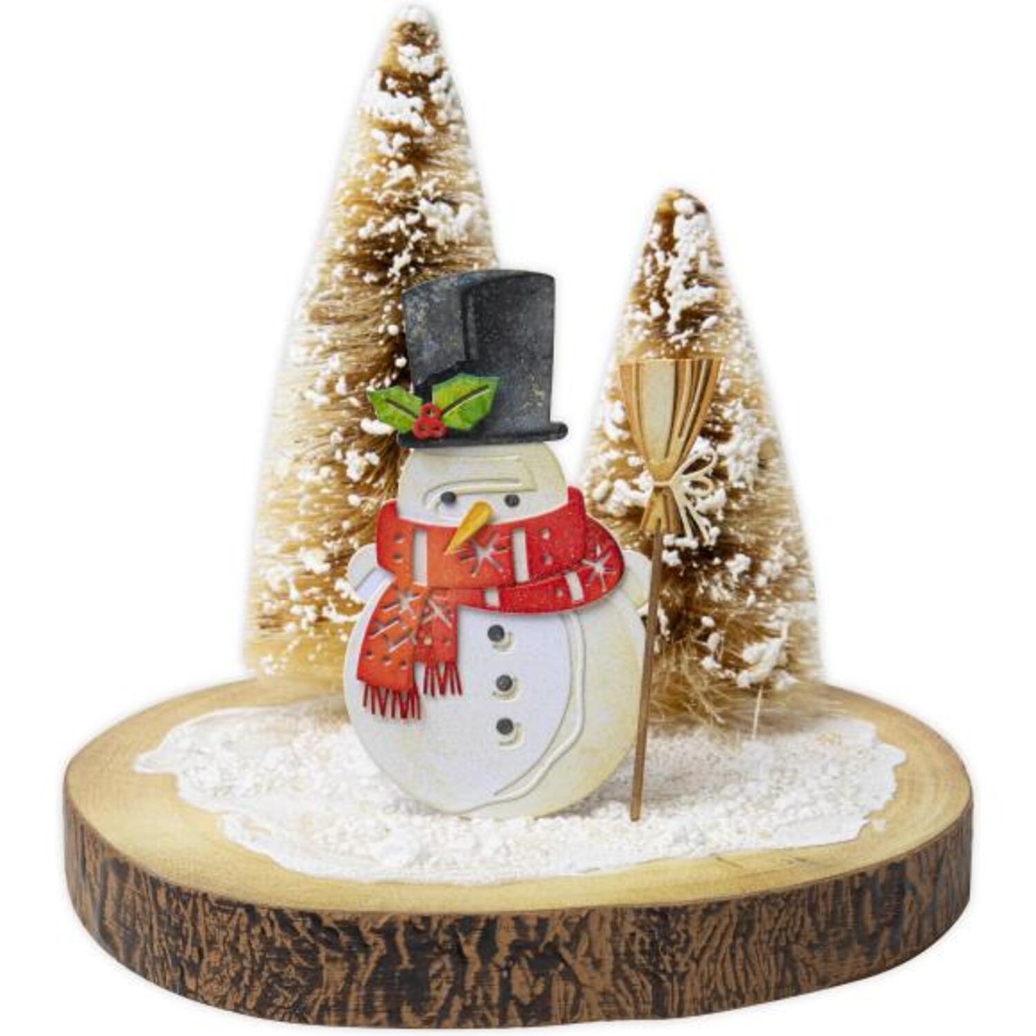 Sizzix Thinlits Dies By Tim Holtz 16/Pkg - Winston Colorize – CraftOnline