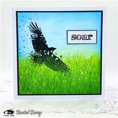 Visible Image Time To Fly Stamp Set Soar | CraftOnline
