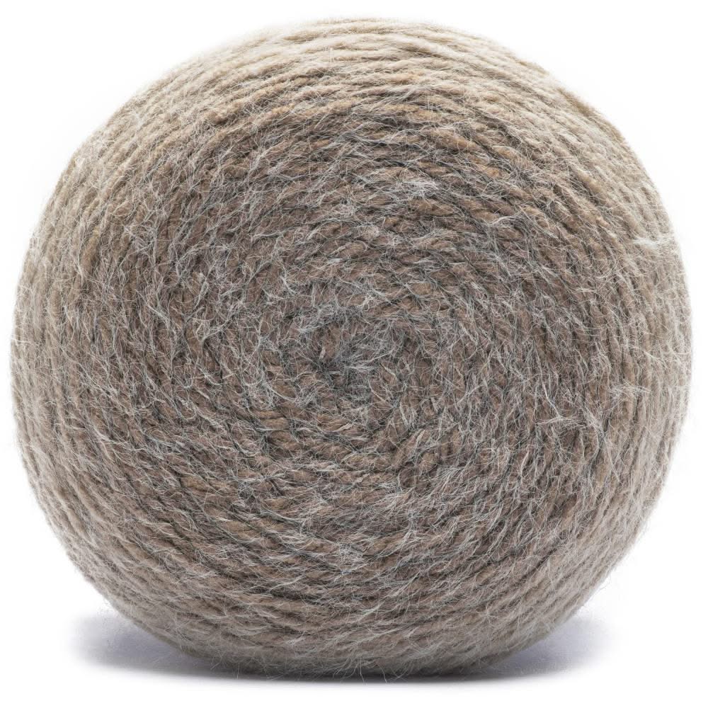Caron Colorama Halo Yarn - Nutmeg Frost* – CraftOnline
