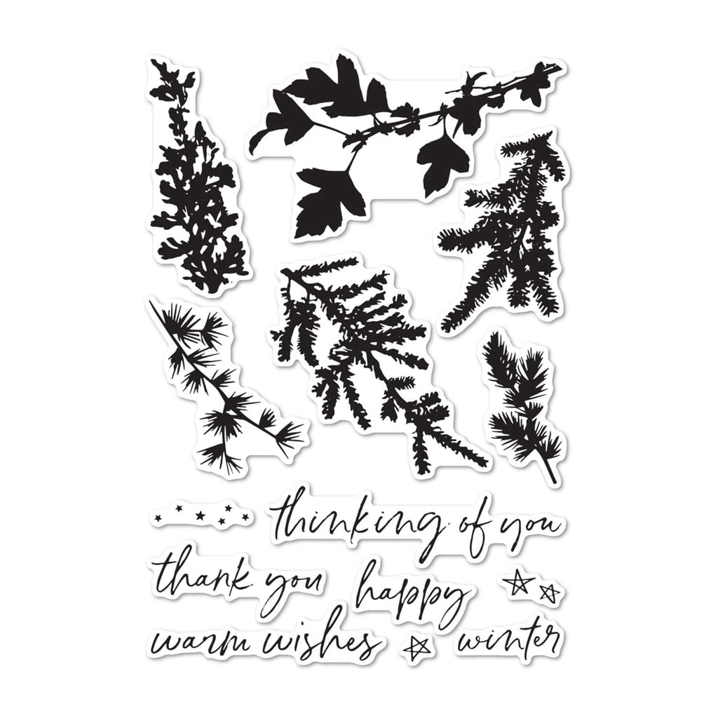 Memory Box - Clear Stamp Set - Winter Greenery* – CraftOnline